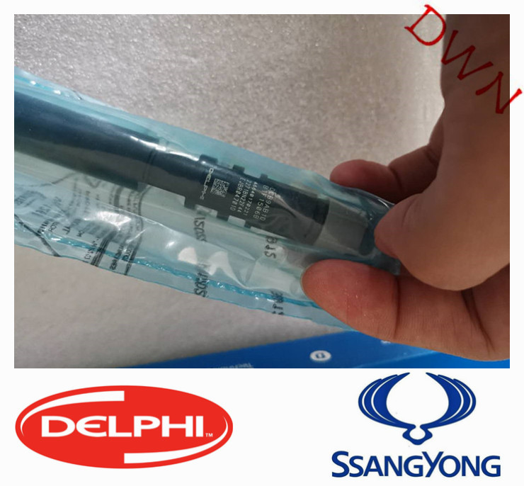 Diesel Common Rail Fuel Injector EJBR04701D = A6640170221 For Ssangyong ...